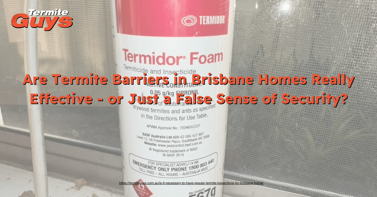 What’s the Best Termite Barrier for Your Brisbane Home - Physical or ...