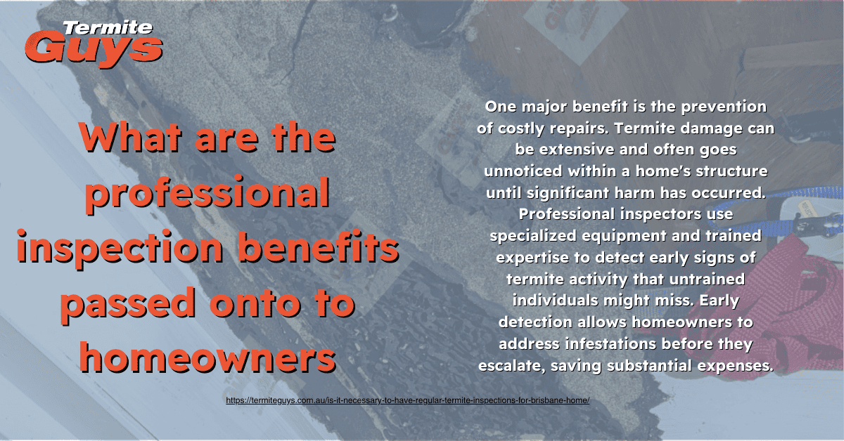 Is It Necessary To Have Regular Termite Inspections For Brisbane Home ...