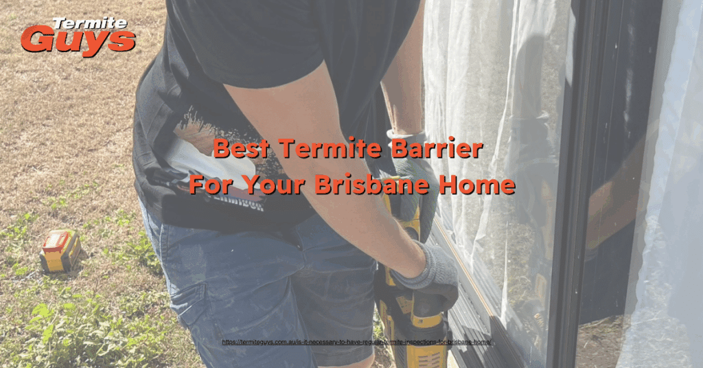What’s the Best Termite Barrier for Your Brisbane Home - Physical or ...