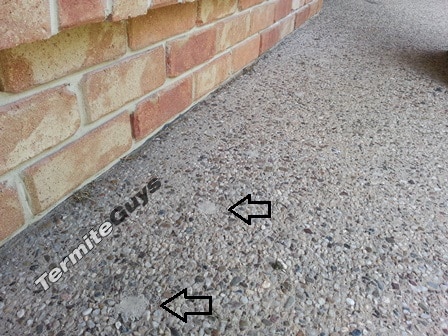 Inconspicuous Termite Barrier Treatment