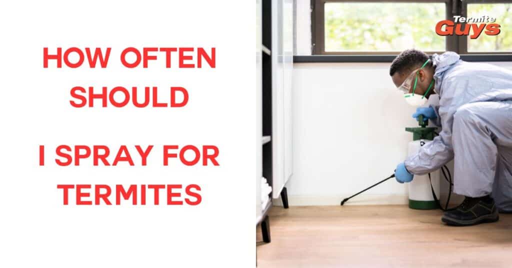 How Often Should I Spray For Termites - Termite Guys Brisbane