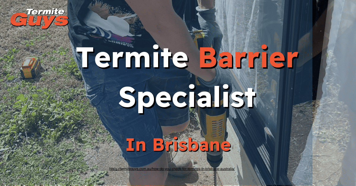 Which Company Specialises In Termite Installation In Brisbane - Termite ...