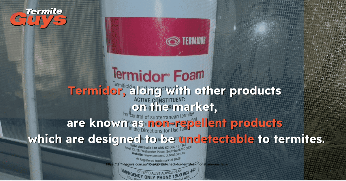 Which Company Specialises In Termite Installation In Brisbane - Termite ...