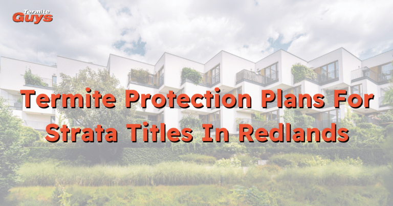 Best Termite Control for Strata Title Buildings in Brisbane QLD ...