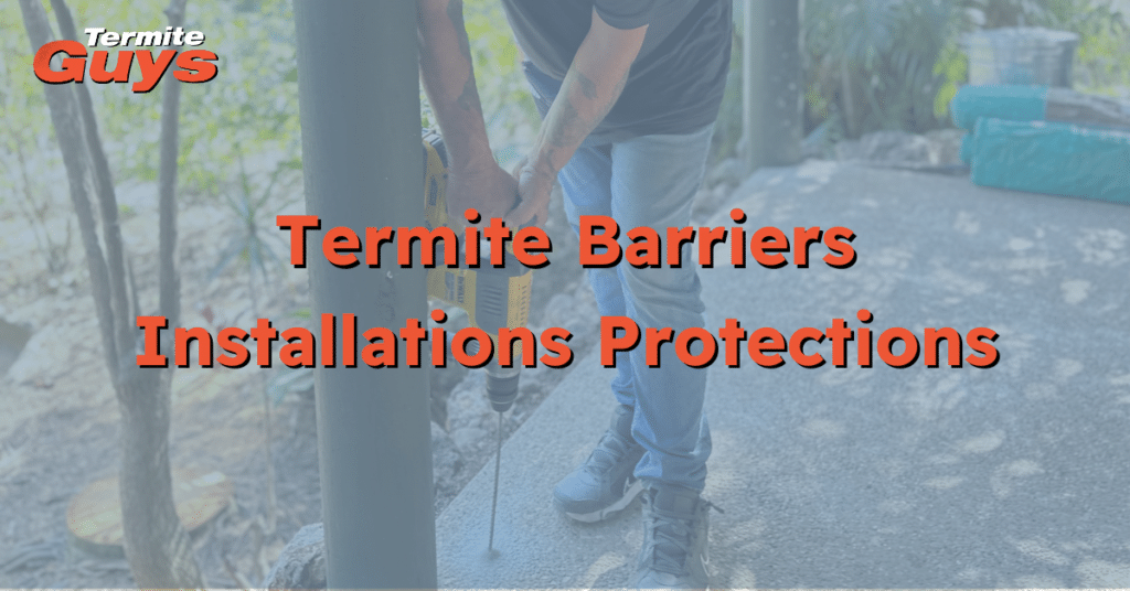Termite Barriers in Brisbane - Expert Installation and Protection ...