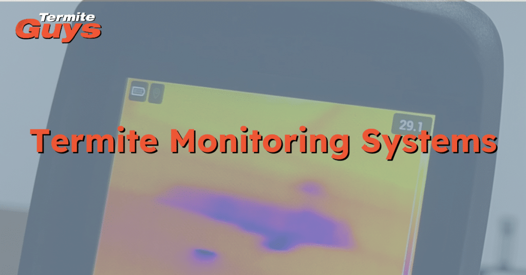 Termite Monitoring Systems Brisbane: Comprehensive Guide by Termite ...