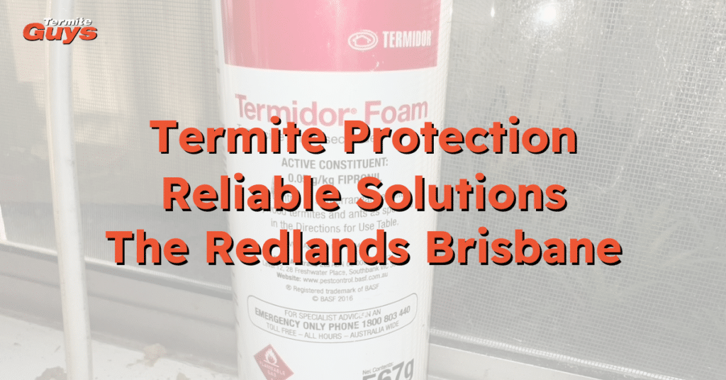 Termite Protection Redlands Brisbane: Safe & Reliable Solutions by ...