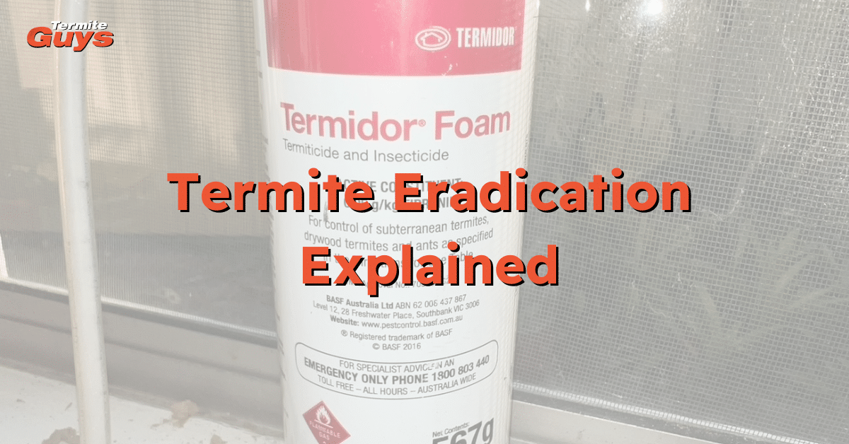 Termite eradication