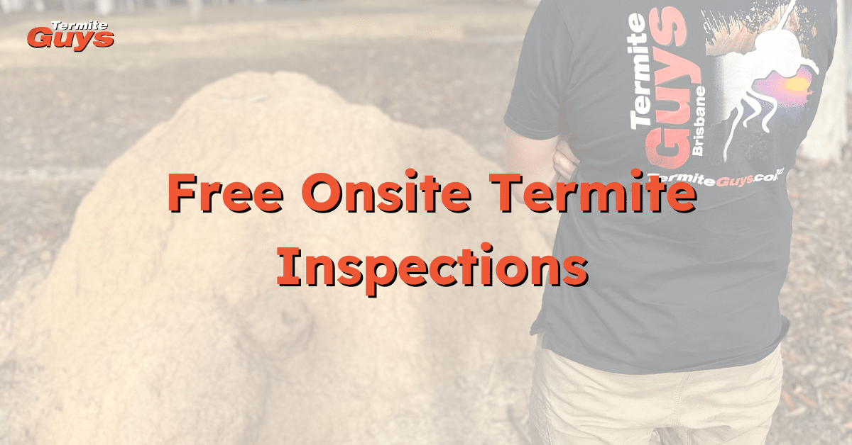 Free Onsite Termite Assessment