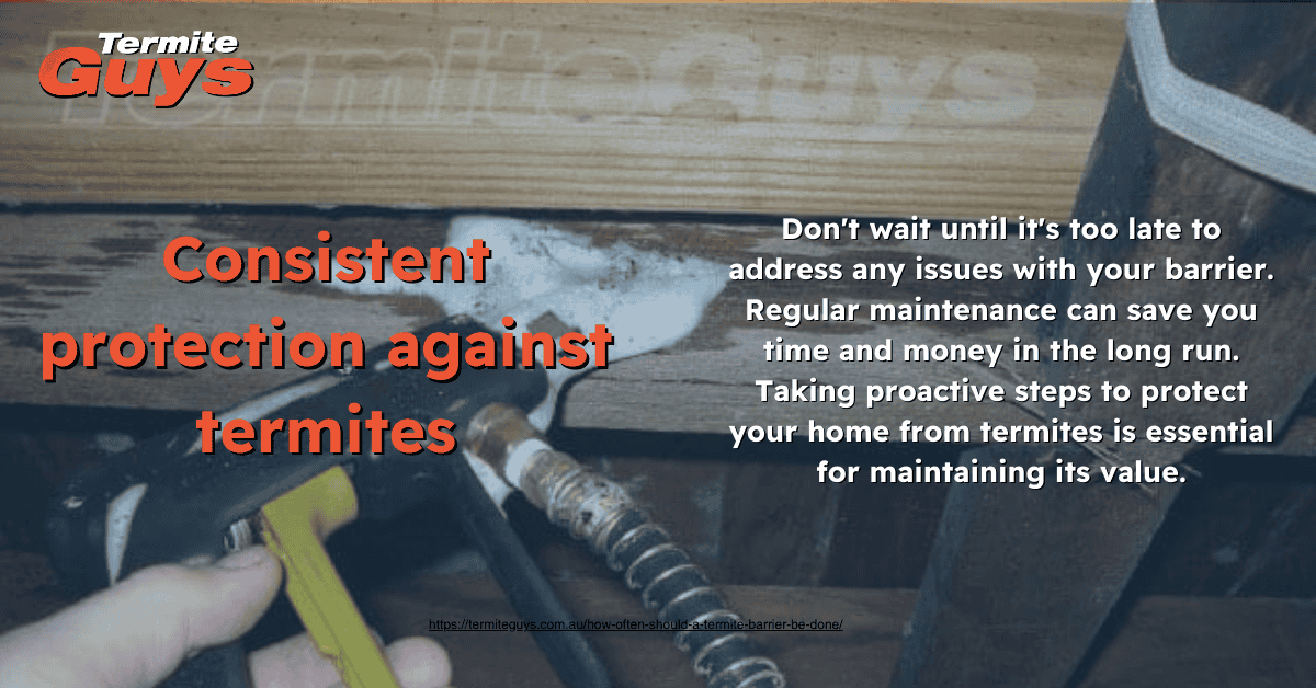 How often should a termite barrier be done - Termite Guys Brisbane