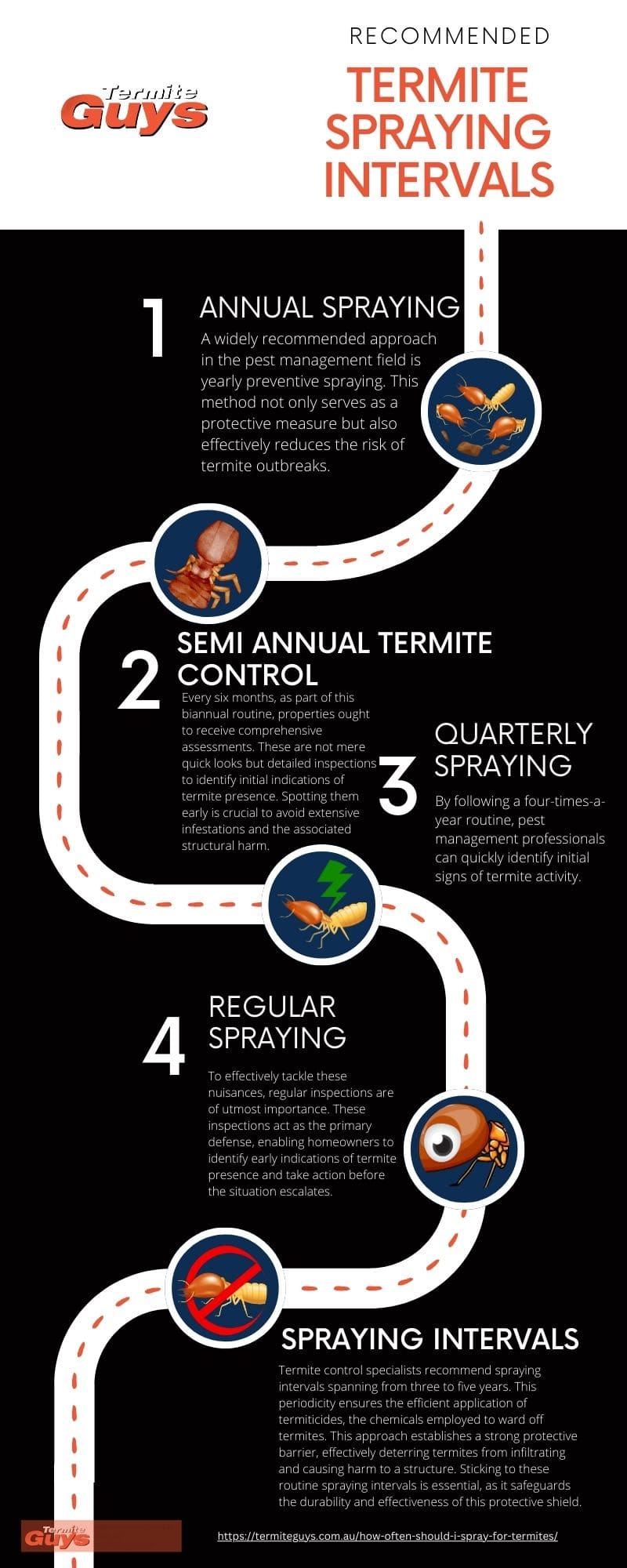How Often Should I Spray For Termites - Termite Guys Brisbane