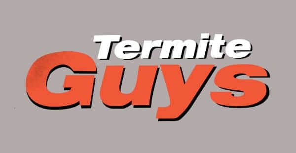 Termite Prevention Redlands Brisbane - Expert Services by Termite Guys ...