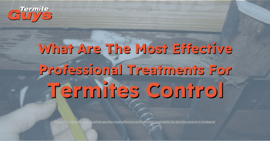 What Are The Most Effective Professional Treatments For Termite Control ...