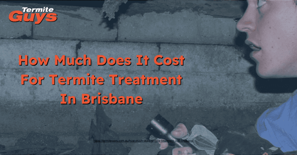 How Much Does Termite Treatment Cost In Brisbane - Termite Guys Brisbane